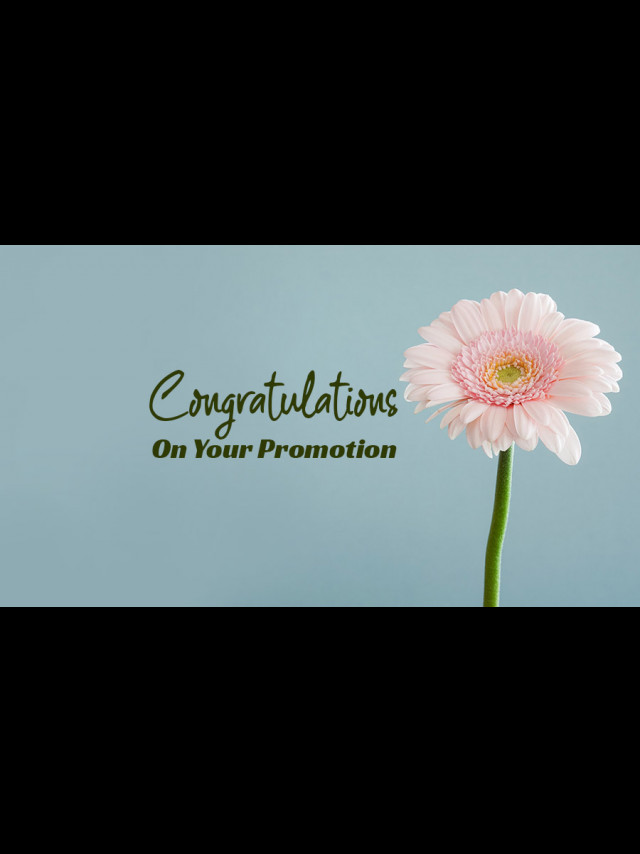 Congratulations On Promotion Wishes Messages Of Colleague