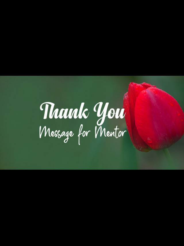 Thank You Messages for Mentor – Words of Appreciation