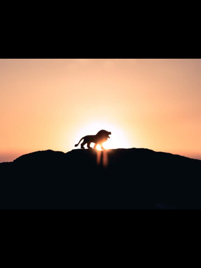 148 Courage Quotes to Make You Feel Courageous